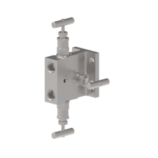 M3V1FTV8N-SG-S316| Northwest Fluid Solutions